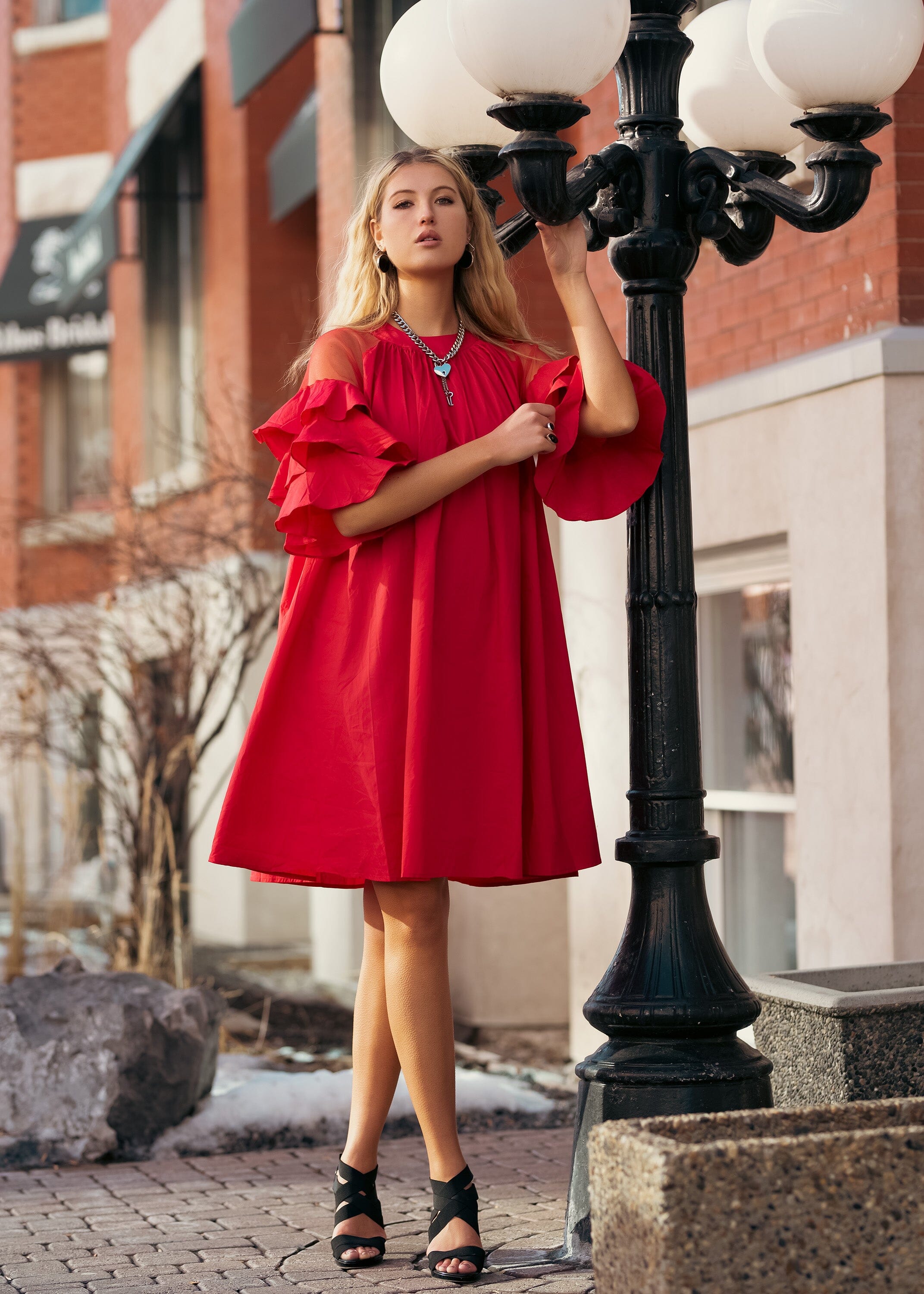 Sheer Ruffle Sleeve Dress - Kate Hewko – Kate Hewko Canada
